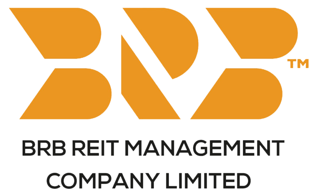 Business Unit Solutions For Growth and Innovation | BRB Group